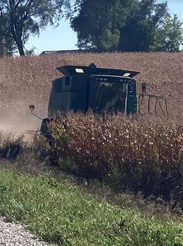 Feds slightly lower Iowa corn yield estimates | Atlantic ...