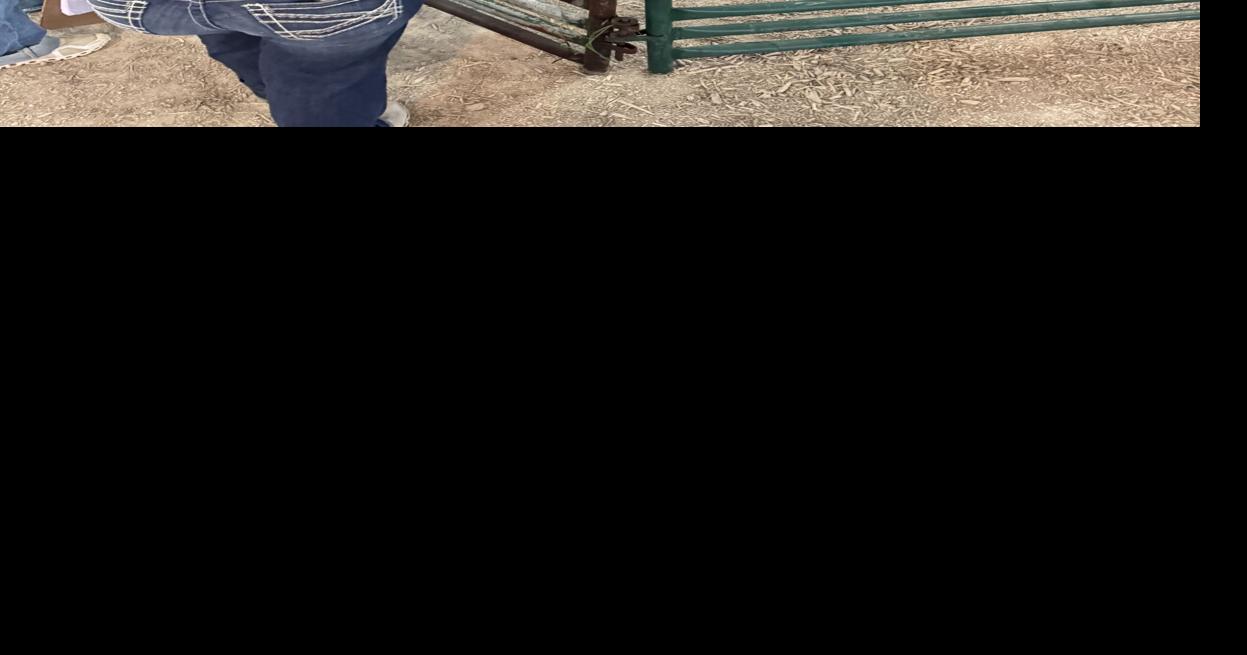 Southwest District Career Development Day held in Atlantic | Lifestyle ...