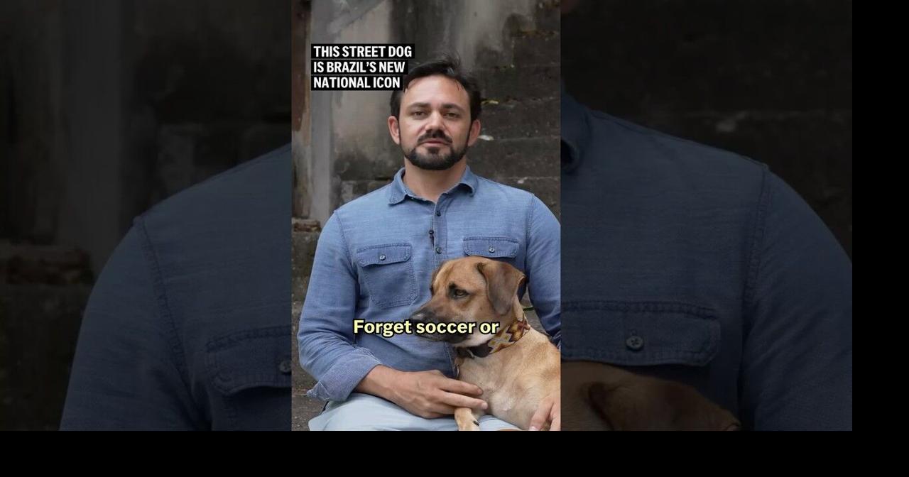 This street dog is Brazil's new national icon | | swiowanewssource.com