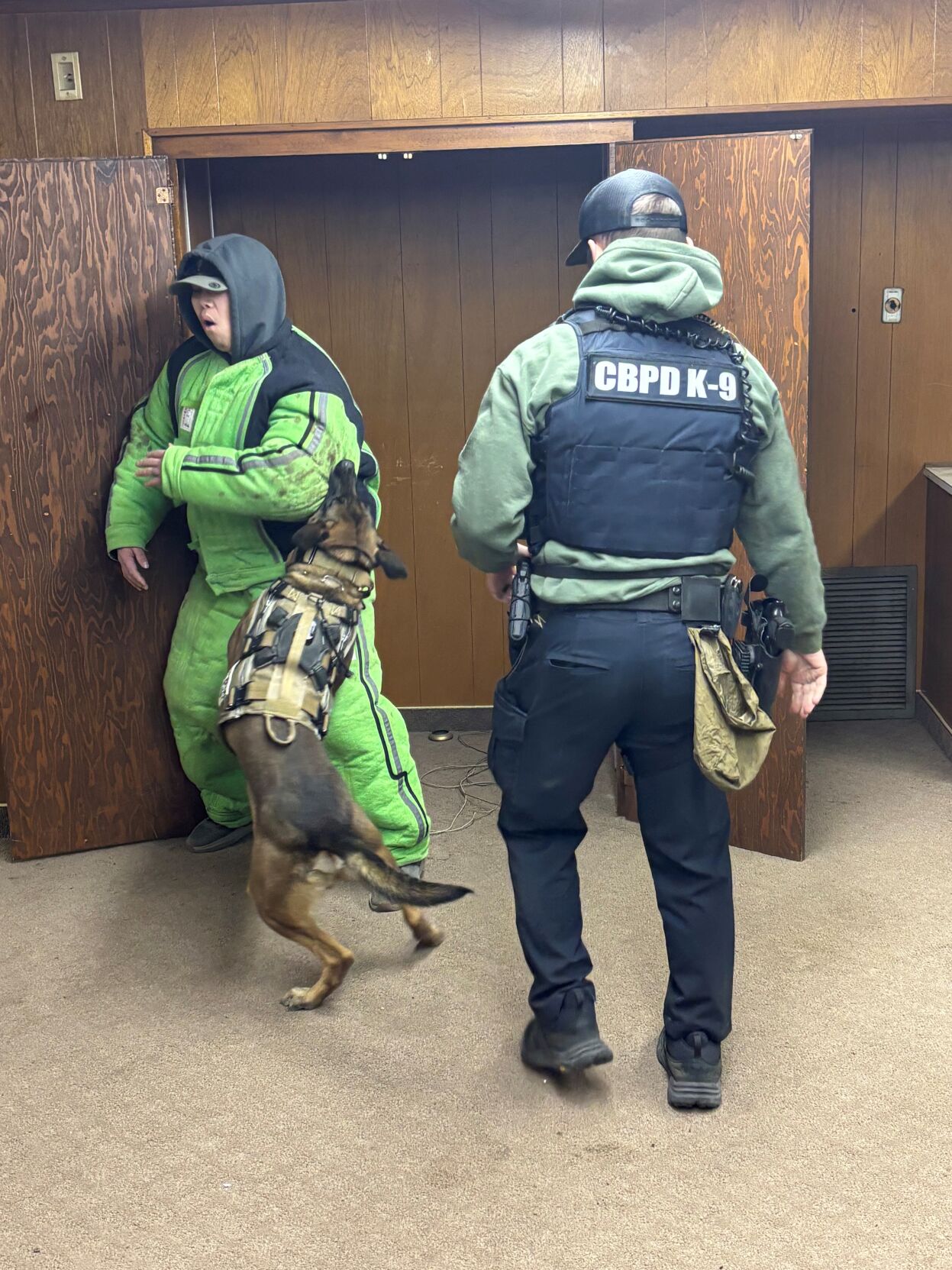 Police dogs are another tool in the tool box, Sgt. says | Atlantic ...