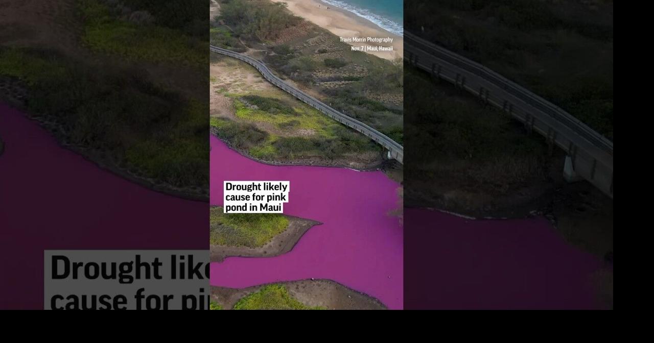 Drought likely cause for pink pond in Maui | | swiowanewssource.com