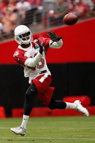 Former NFL player goes from gridiron to green at Fort Sill | Sports ...