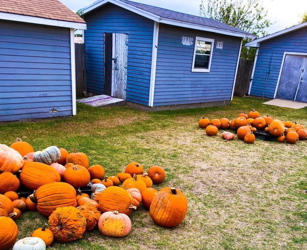 SW OK Pumpkin Patches | News | swoknews.com