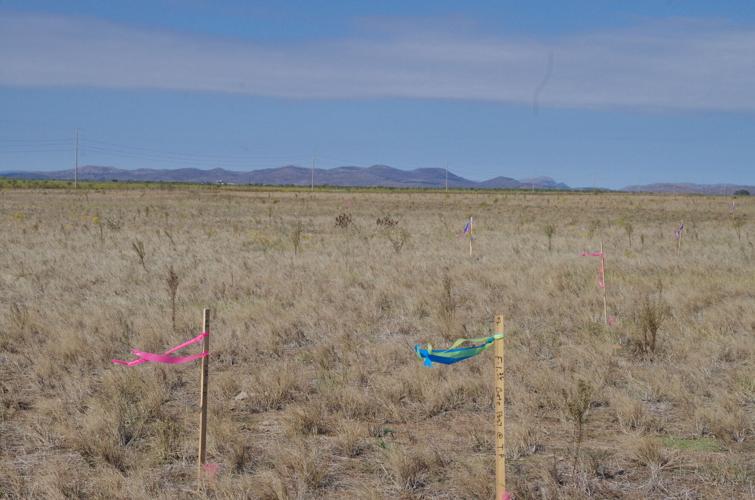 Lawton ready to reap benefits of having land ready for development ...