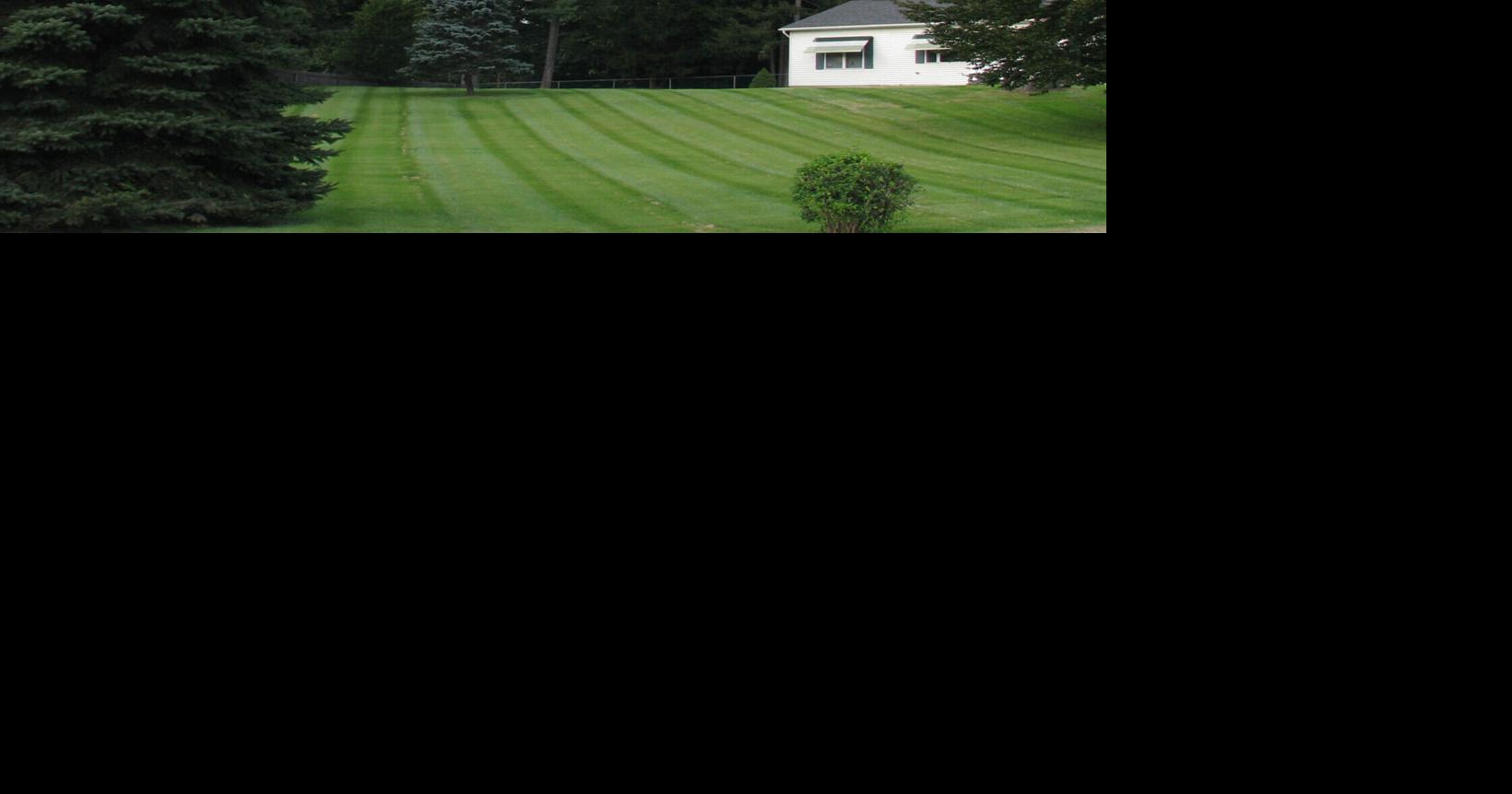 Turfgrass maintenance begins | Styles | swoknews.com