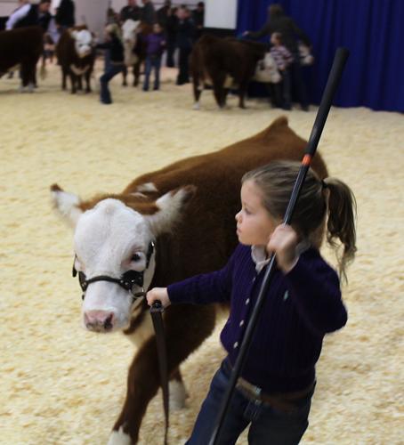 Wichita Mountains Classic Livestock Show | Community News | swoknews.com