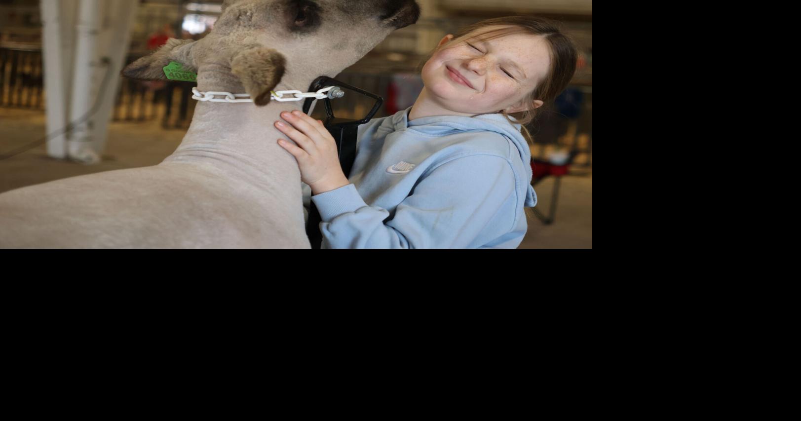 Livestock show offers great 'tails' for tale | News | swoknews.com