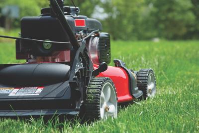 Turfgrass maintenance begins | Garden | swoknews.com