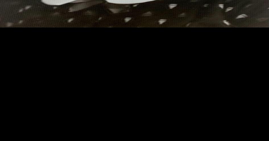 Edith L. Barber | Obituaries | swoknews.com