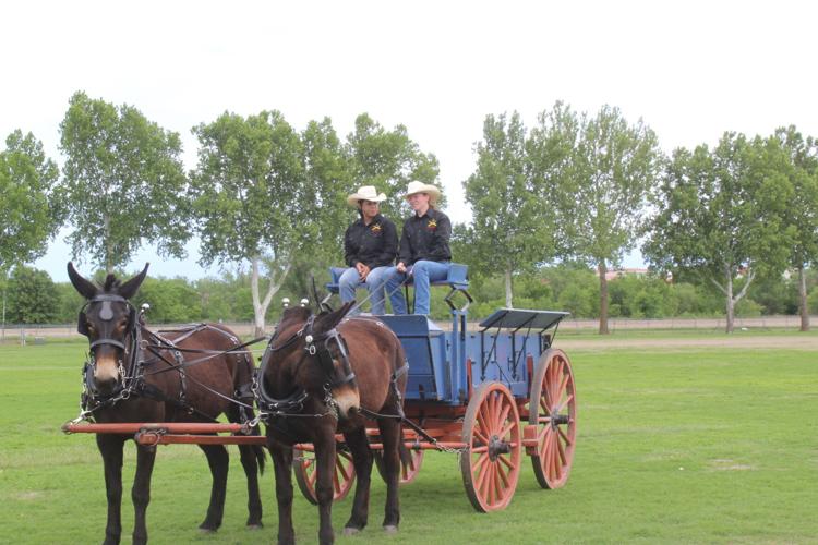 First annual Redleg Competition begins at Fort Sill | News | swoknews.com