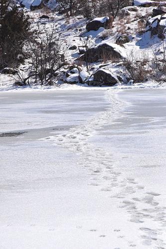 A return to nature in the Wichita Mountains following the snow storm ...