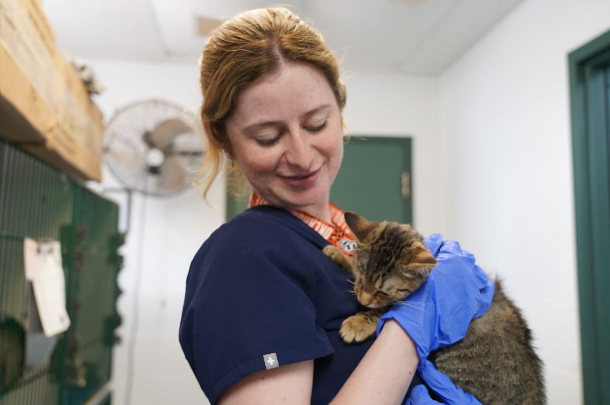 Real talk with Dr. Ruble: Caring for critters is her calling ...
