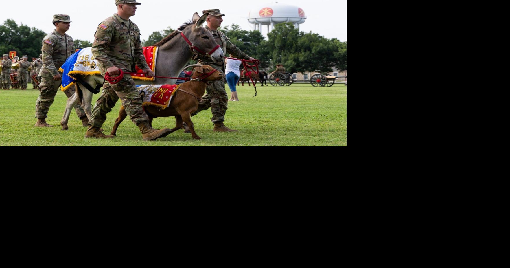 Discover the visual story of Fort Sill: Explore, download, and share ...