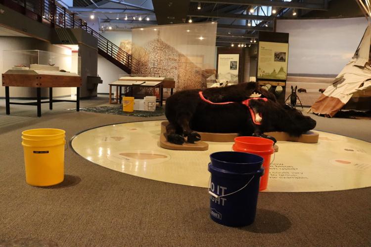 Museum gearing up for vital repair project that also will close the ...