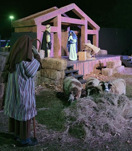 Living Nativity | News | swoknews.com