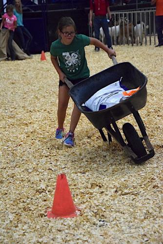 County Fair coming to Comanche County Fairgrounds | News | swoknews.com