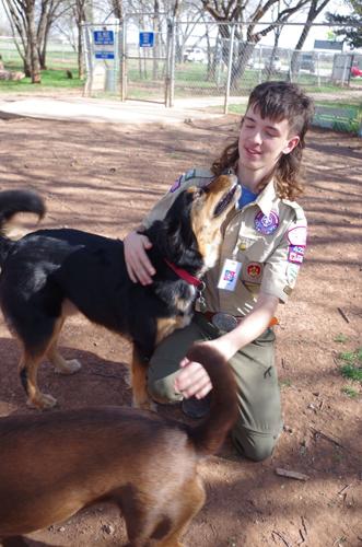 Eagle Scout project will bring smiles to canine faces | News | swoknews.com