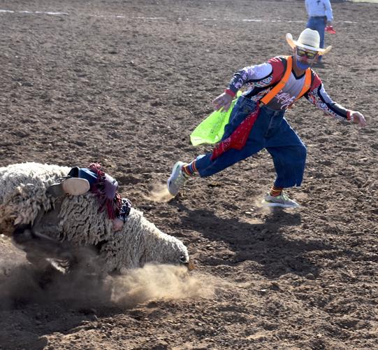 If you wanna rodeo, it's good to start young | News | swoknews.com