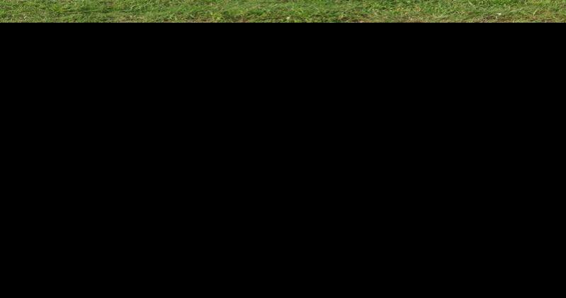 428th Field Artillery Brigade dominates: From Best Red Leg to Best ...