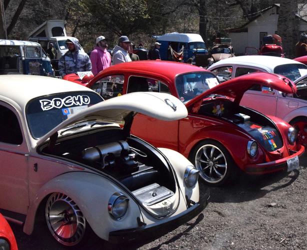 VDub dreams can come true if you want | News | swoknews.com