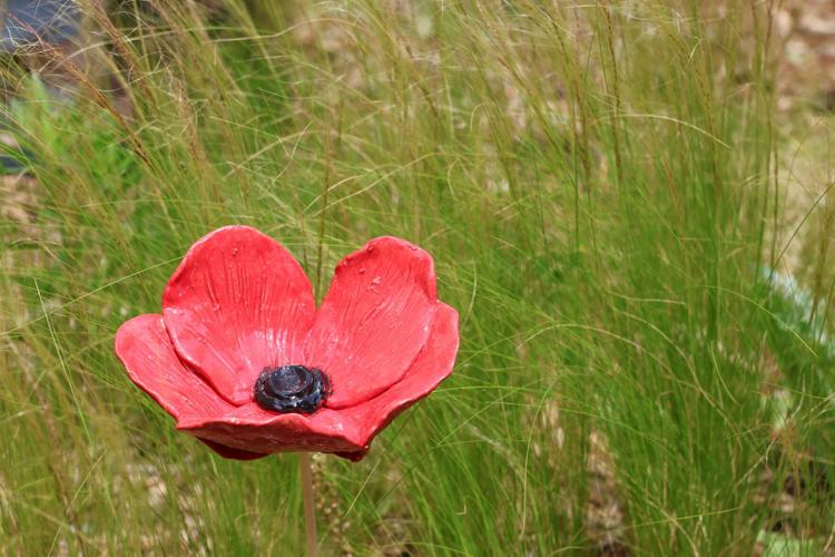 MHS' own Flanders Field tells of Highlander sacrifices | News ...