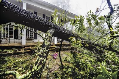 COLUMN: Assessing landscape damage this spring | Photo Galleries ...