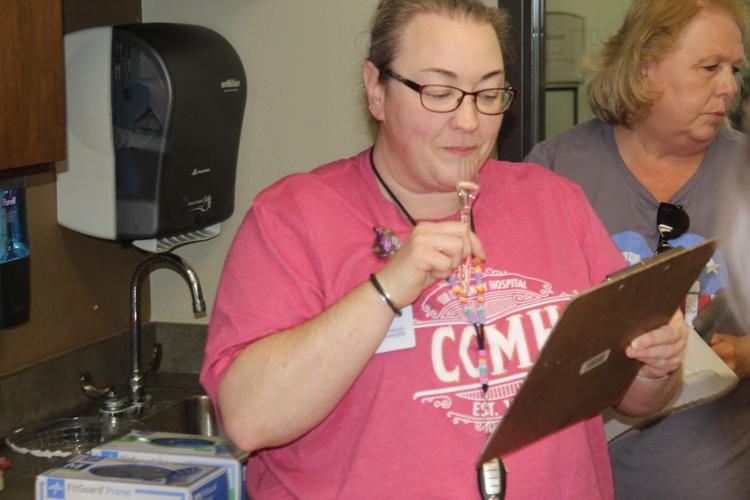 Everyone's a winner at the OHCE Pie and Cake Fair | News | swoknews.com