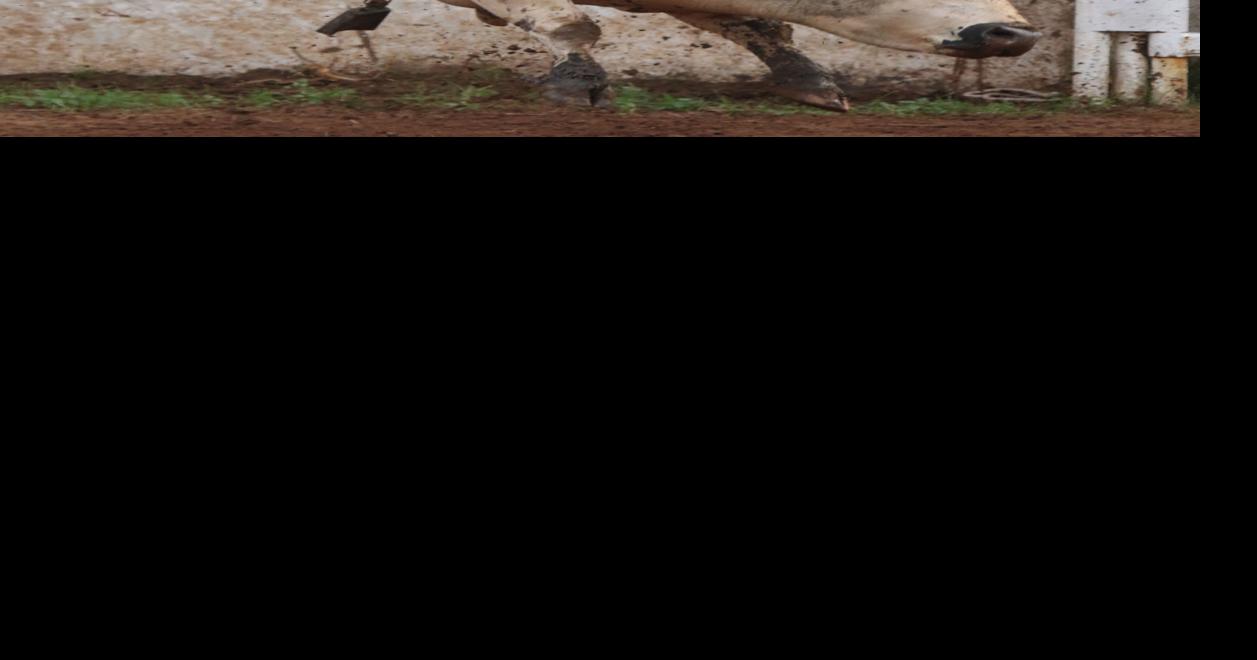 Geronimo Birthday celebration returns | News | swoknews.com