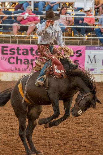 Bull riders fail to make buzzer at Lawton Rangers Rodeo | Sports ...