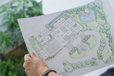 landscape design rules