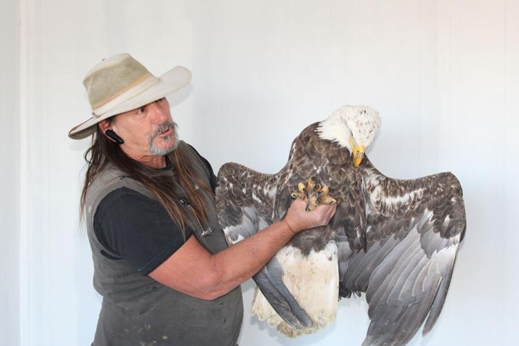 Breaden picking up pieces following abatement incident | Photo Galleries | swoknews.com