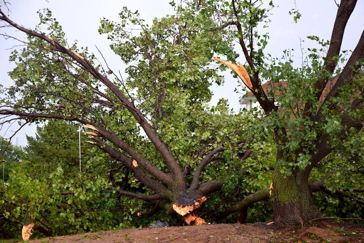 Constitution reporter rides out the storm | News | swoknews.com