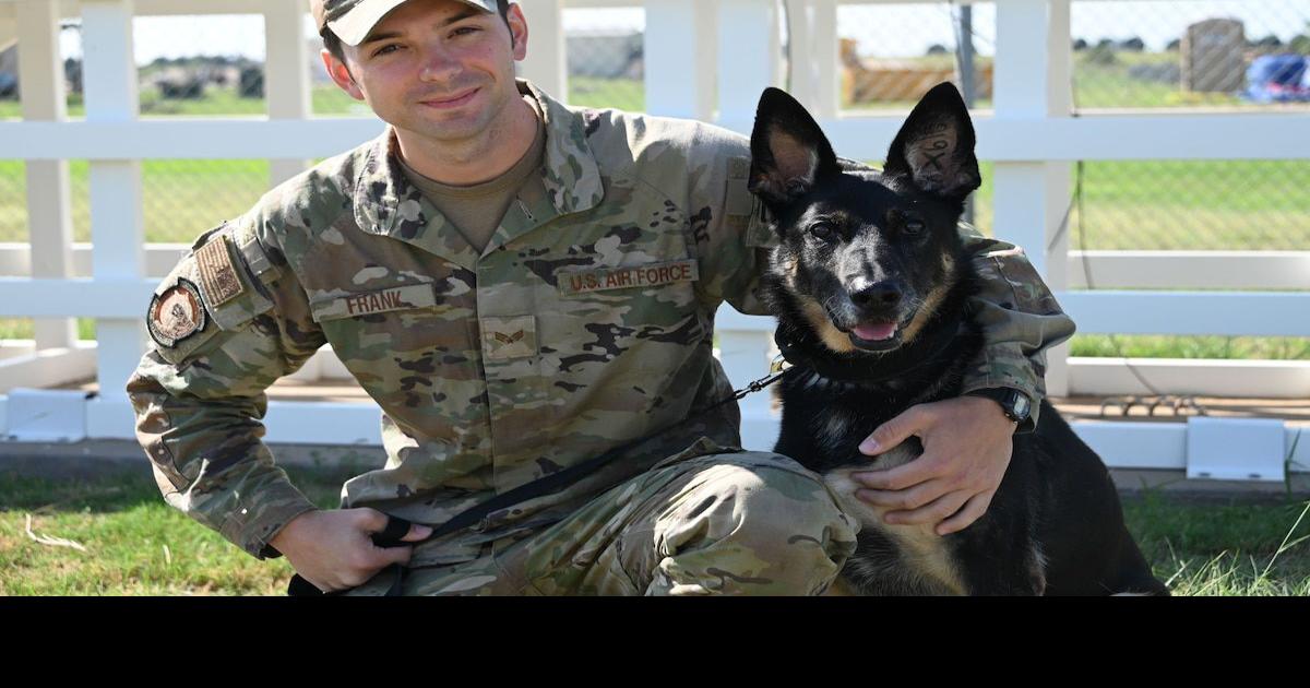 Military Working Dog Cora retires after 7 years of service | | swoknews.com
