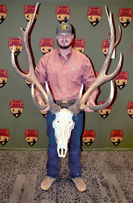 First official 400-class elk sets new State record | Sports | swoknews.com