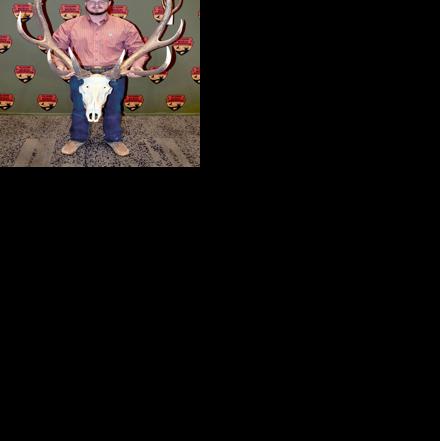 First official 400-class elk sets new State record | Sports | swoknews.com