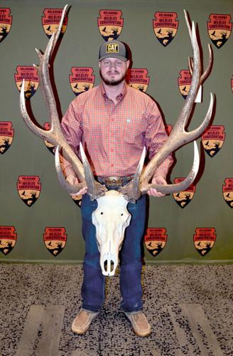 First official 400-class elk sets new State record | Sports | swoknews.com
