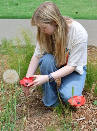 MHS' own Flanders Field tells of Highlander sacrifices | News ...