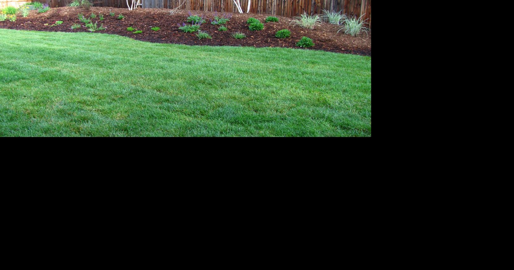 Berms in your landscape | Garden | swoknews.com