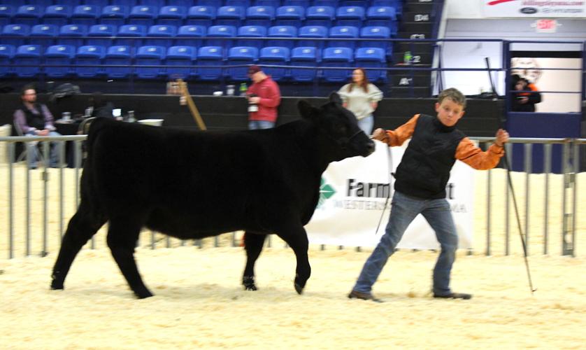 Wichita Mountains Classic Livestock Show | Community News | swoknews.com
