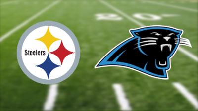 panther attacking eagle