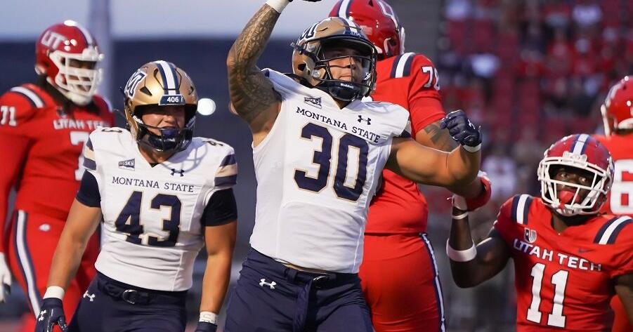 Bobcats surpass Grizzlies in newest STATS FCS Poll | Montana Grizzlies ...