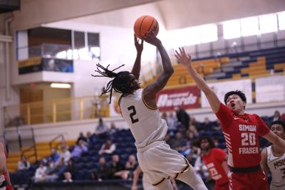 MSU-Billings men, women continue hot start in GNAC play | MSU Billings ...