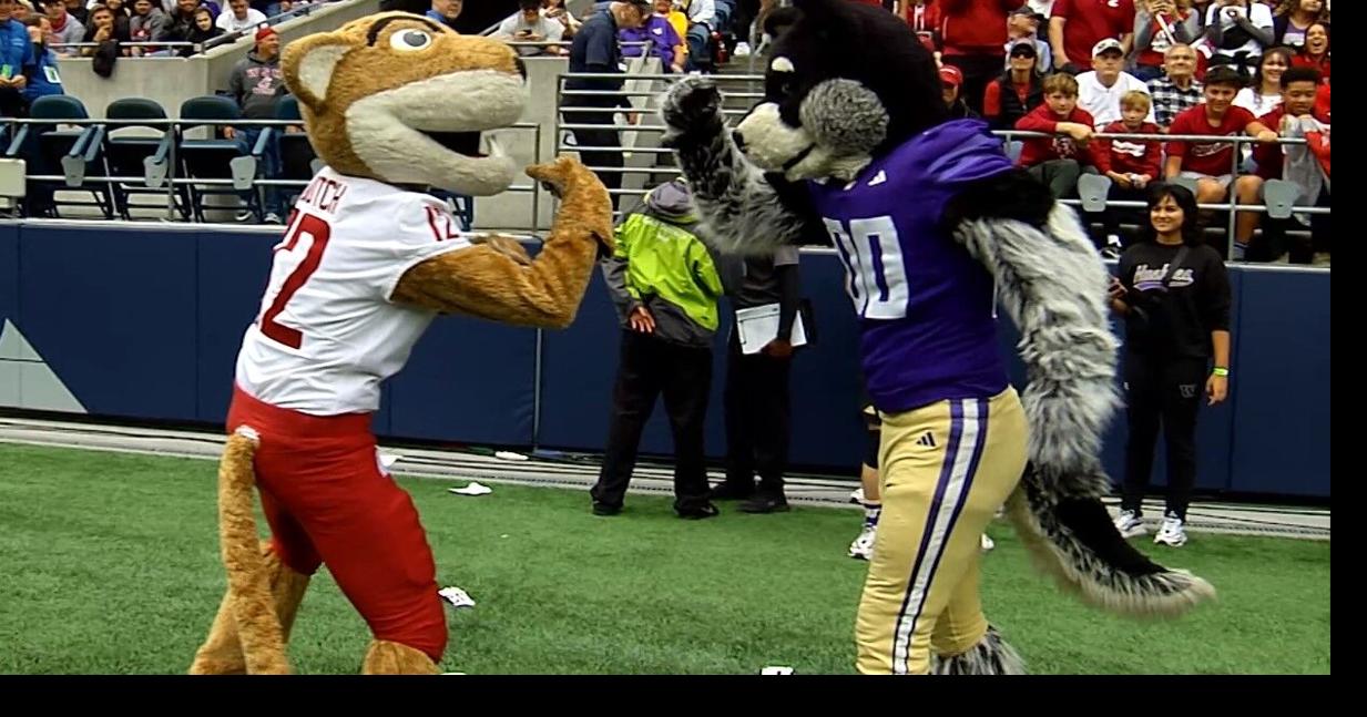 Washington State vs Washington Game Preview: Cougs, Huskies meet for ...