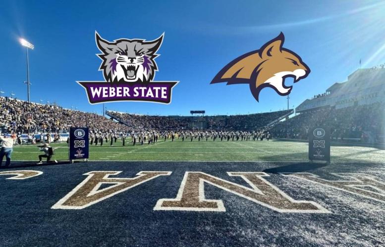 Bobcats wallop Weber State 66-14 | Montana State | swxlocalsports.com