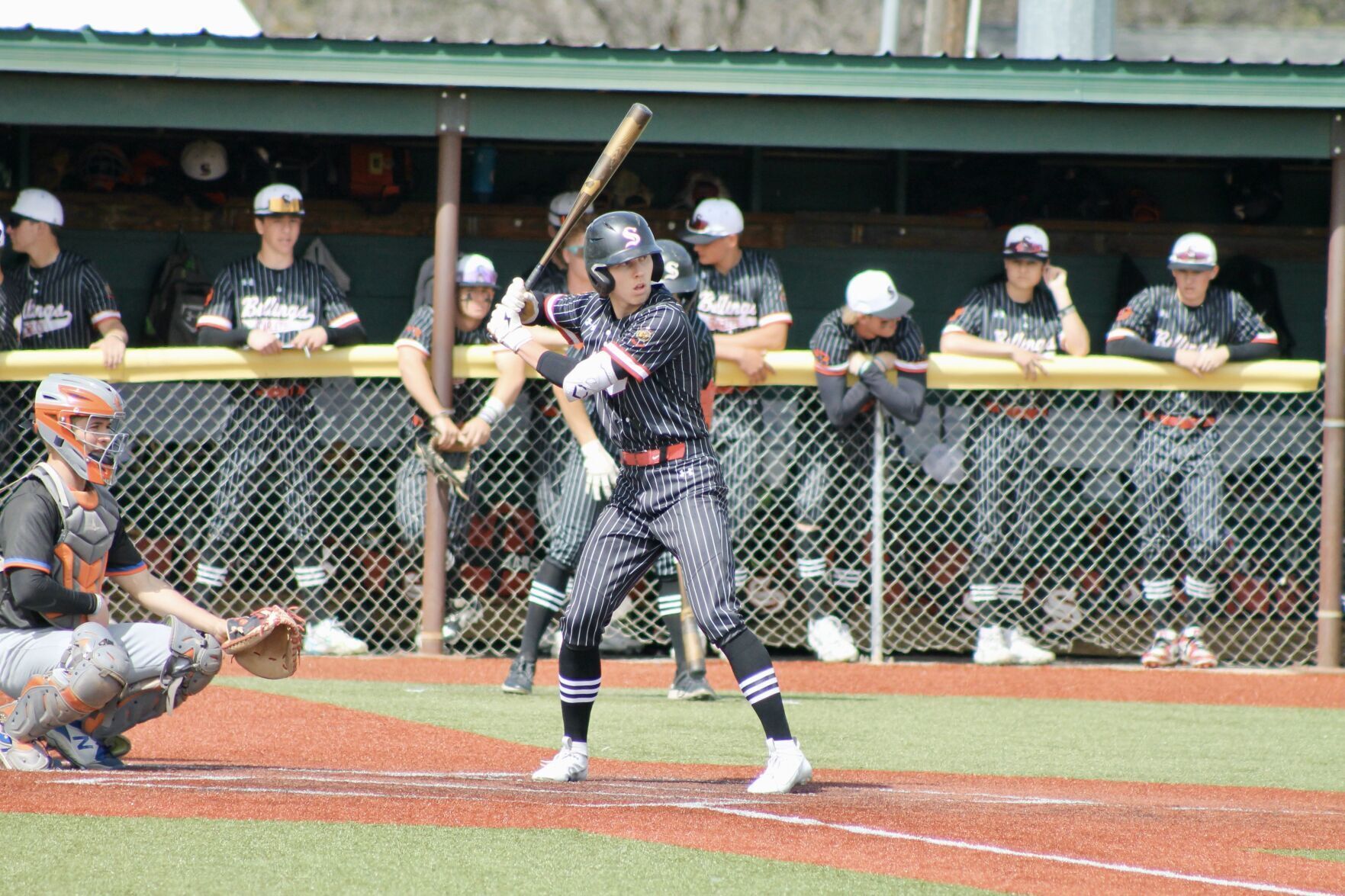 Montana/Alberta American Legion Baseball Standings (July 25) | Montana ...