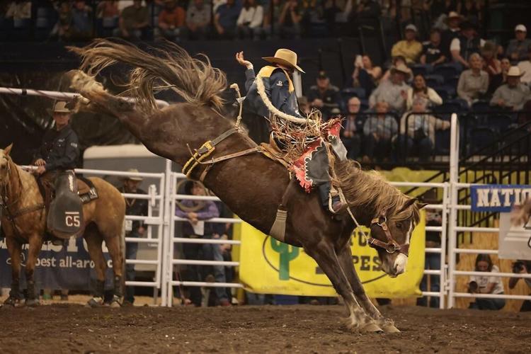 Montana State prepares to compete at Collegiate National Finals Rodeo ...