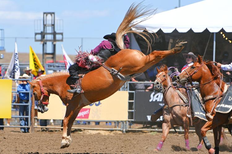 79th annual Santa Maria Elks Rodeo sees record crowds | Local news ...