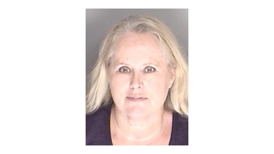 Nine face 27 counts of fraud, criminal conspiracy in $1.7 million ...