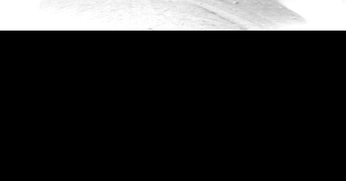 Sharon Louise Mathewson Robison | Obituaries | syvnews.com