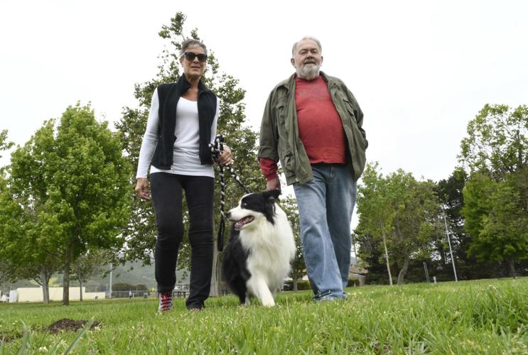 Back on track: Lompoc dog shows set to return to Ryon Park in July ...